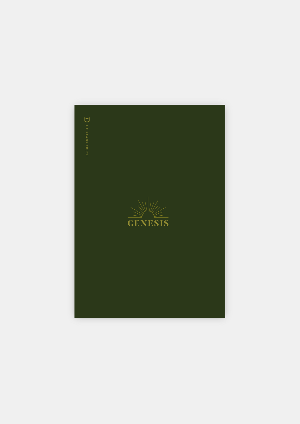 Genesis | Men's Bible Reading Plan – She Reads Truth