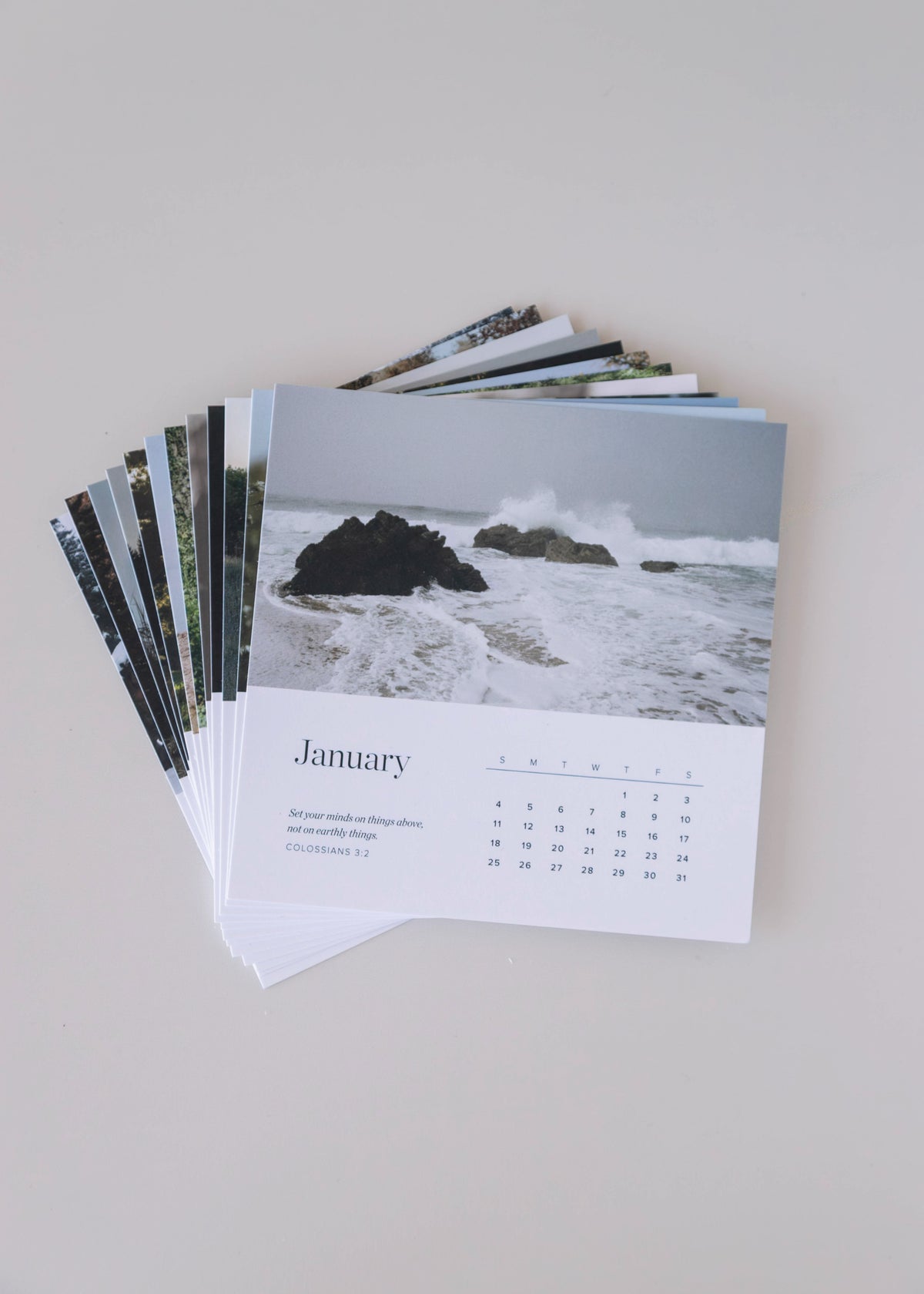 2026 Scripture Calendar Card Set – She Reads Truth