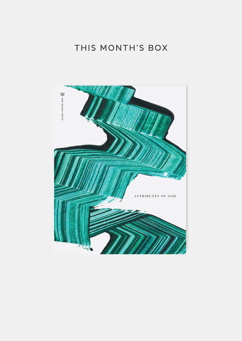 Women and Men's Monthly Bible Reading Subscription – She Reads Truth