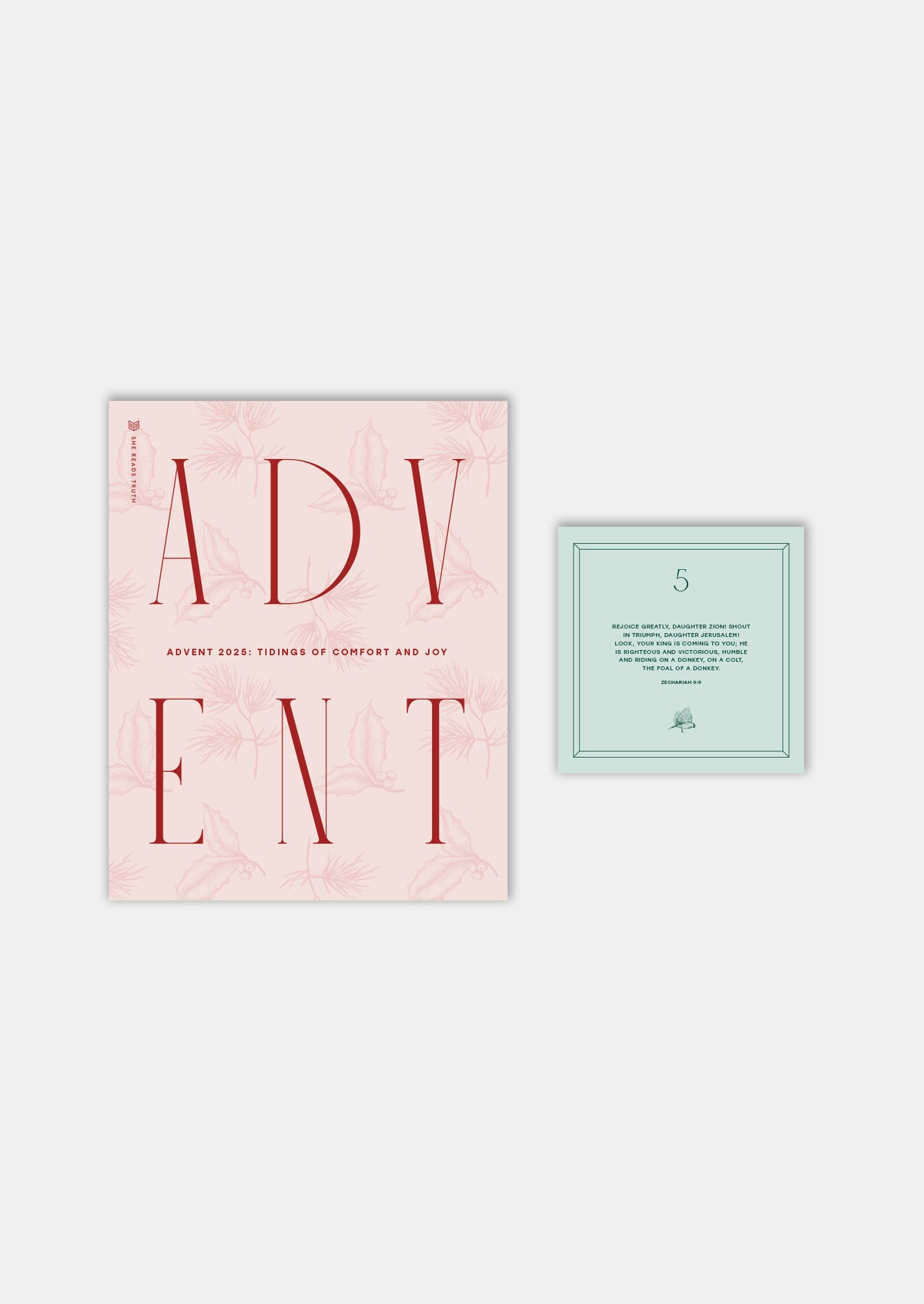 Advent 2025 She Reads Truth Bundle