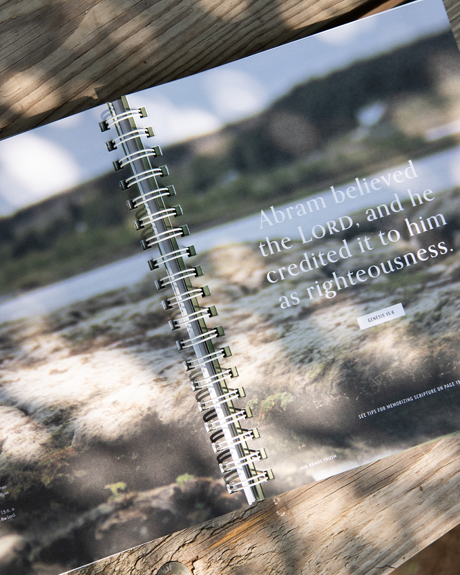 Genesis – She Reads Truth