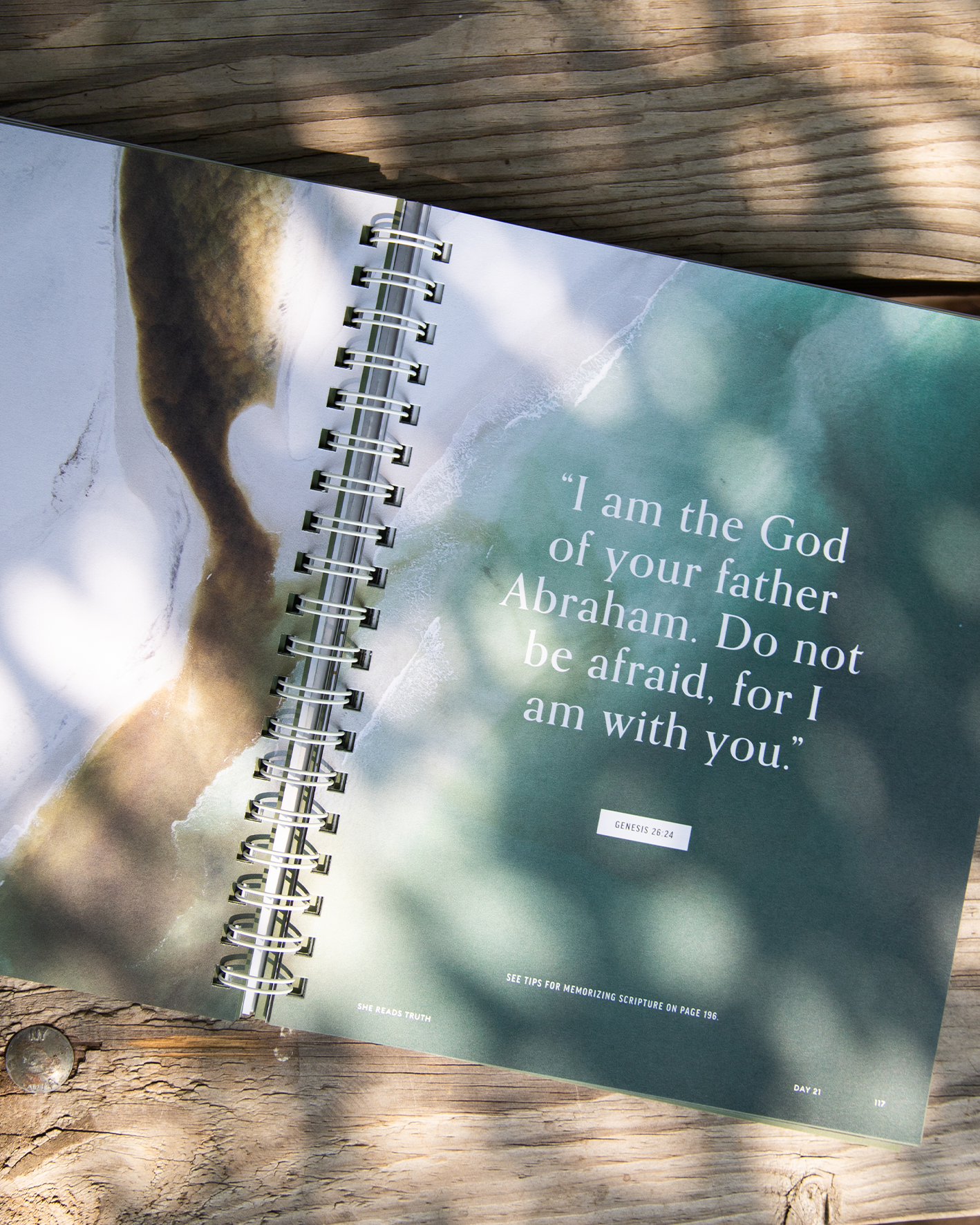 Genesis | Women's Bible Reading Plan – She Reads Truth