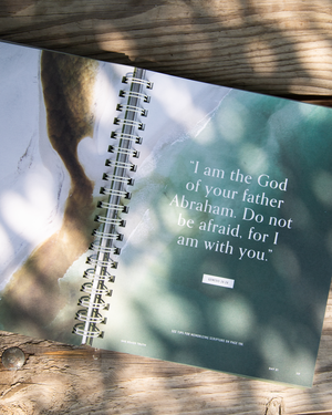 Genesis – She Reads Truth