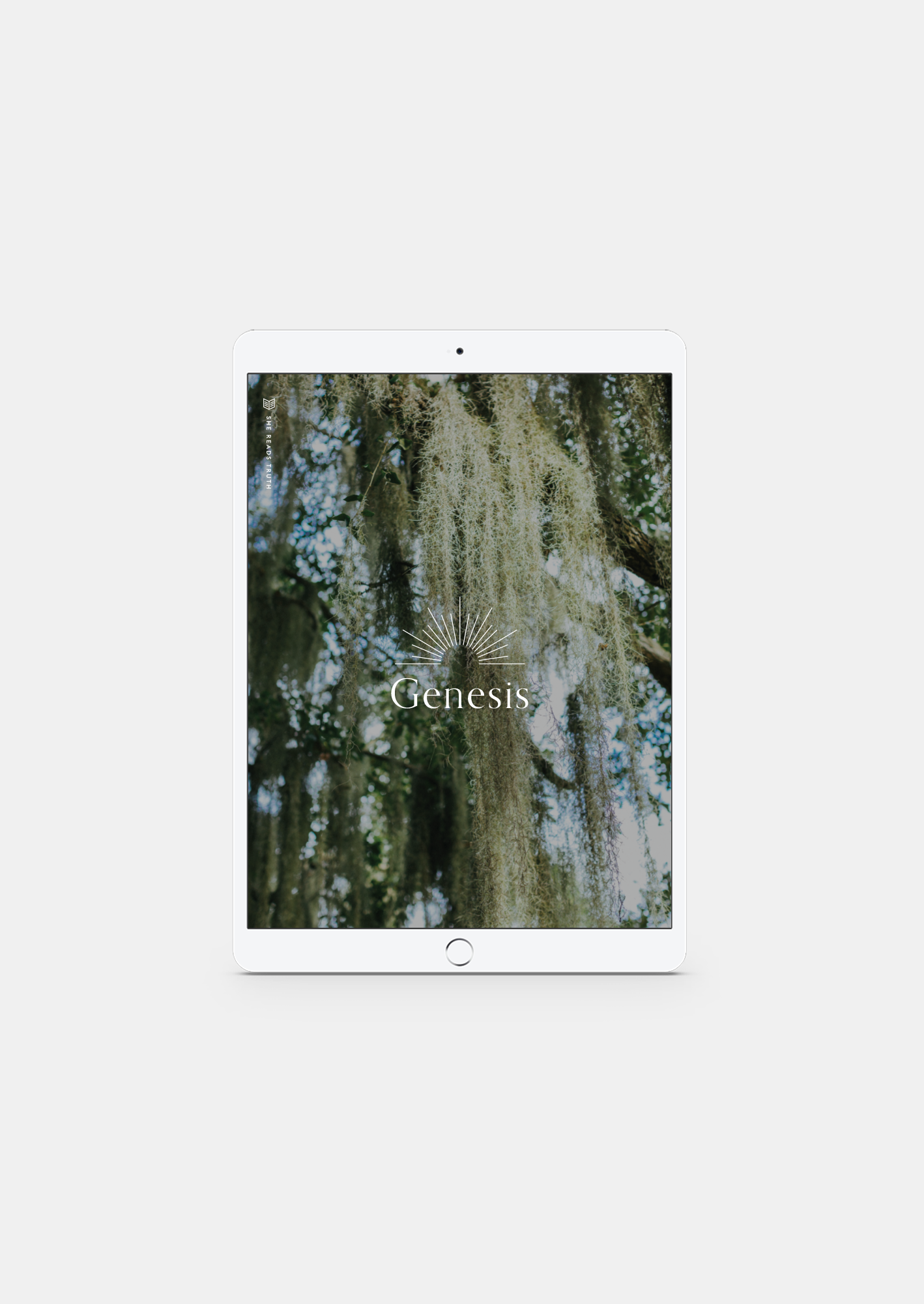 Genesis (DIGITAL) | Women's Bible Reading Plan – She Reads Truth