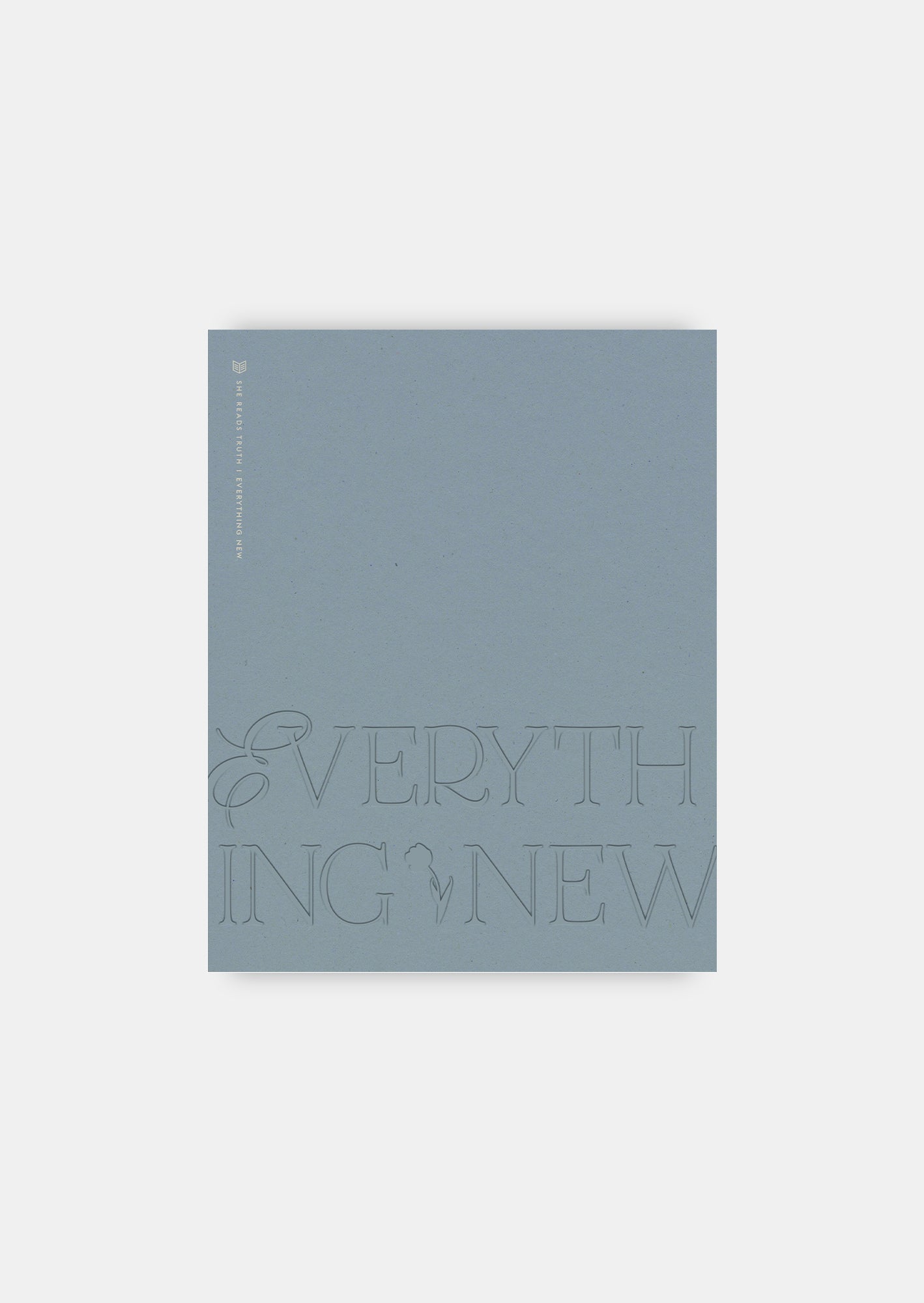 Everything New | Women's Bible Reading Plan – She Reads Truth