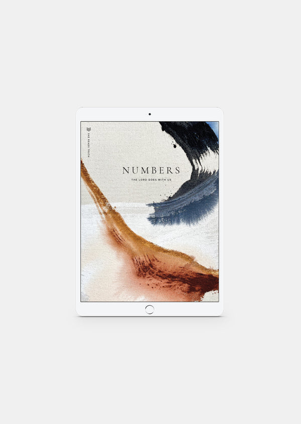 Numbers – She Reads Truth