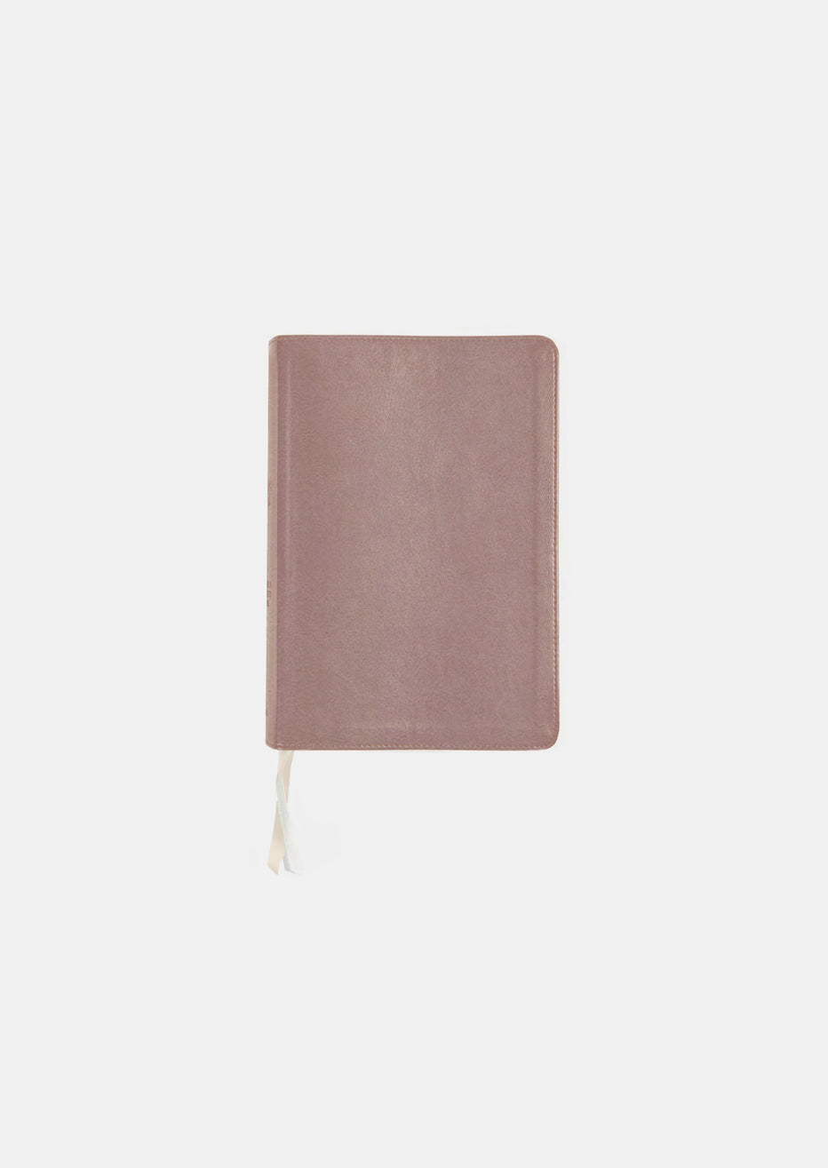 She Reads Truth Bible