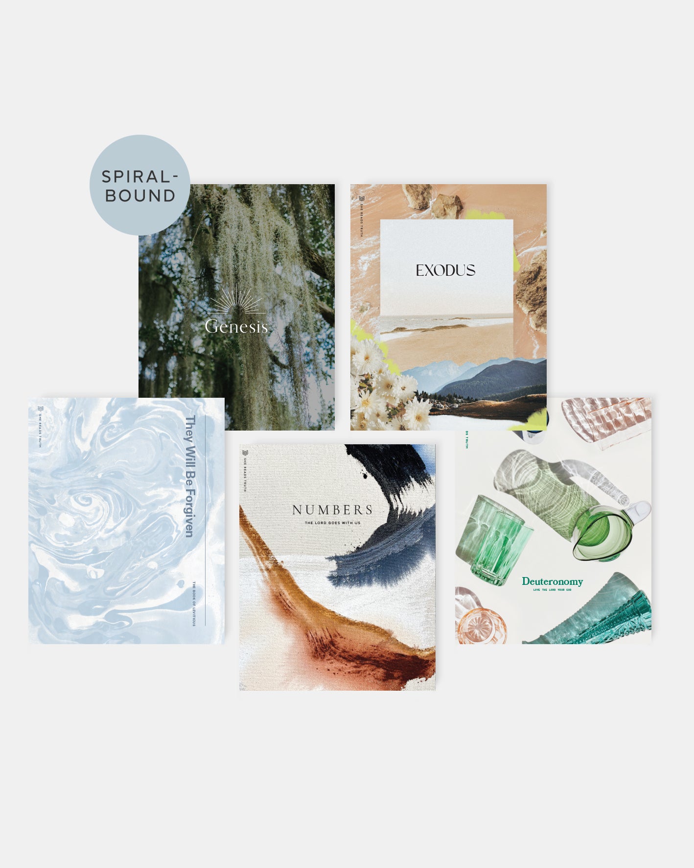 Shop All – She Reads Truth