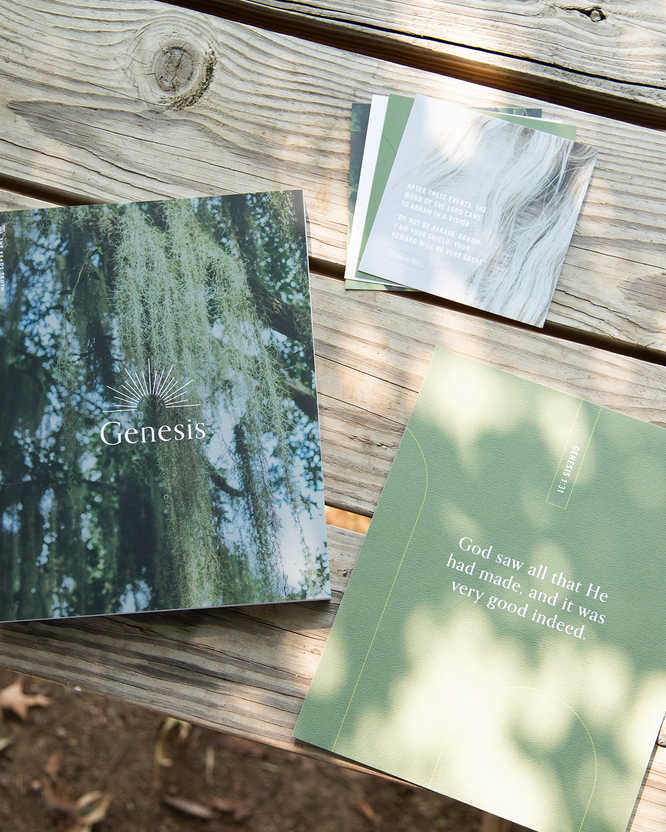 Genesis – She Reads Truth