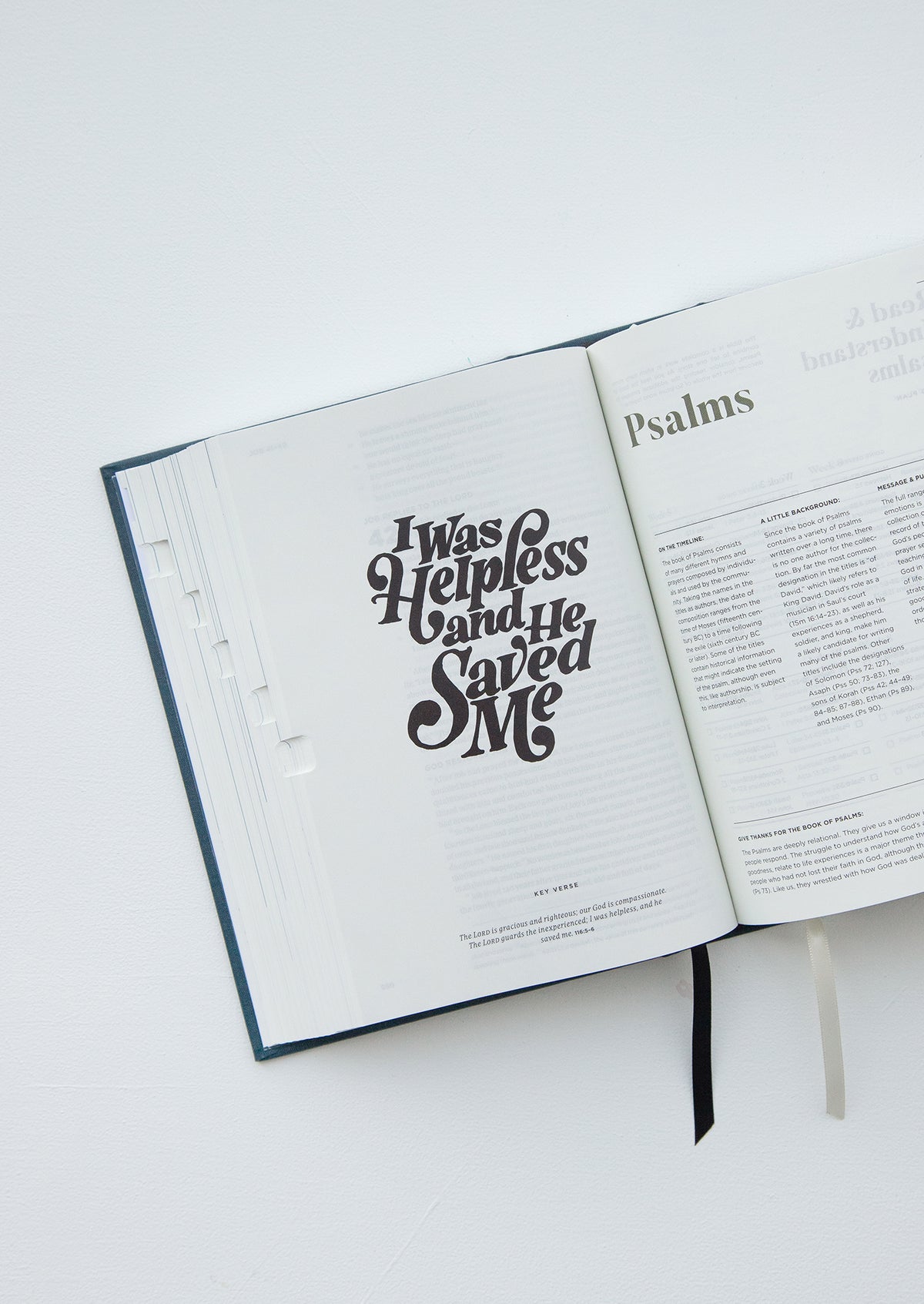 He Reads Truth Bible for Men – She Reads Truth