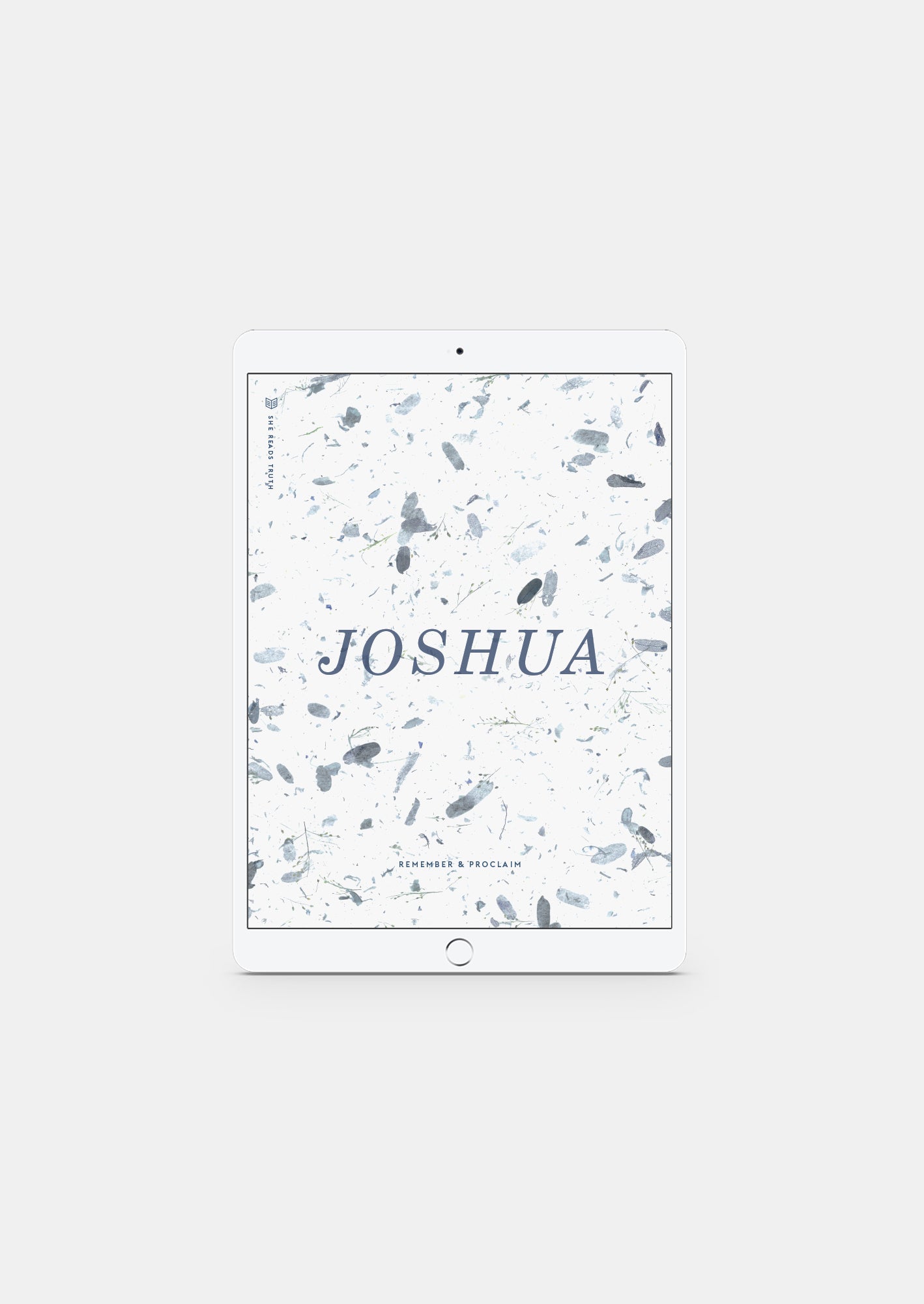 Joshua | Men's Bible Reading Plan (DIGITAL) – She Reads Truth