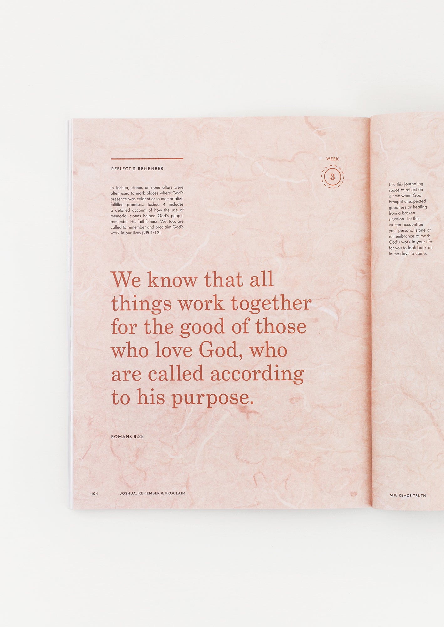 Joshua | Women's Bible Reading Plan – She Reads Truth